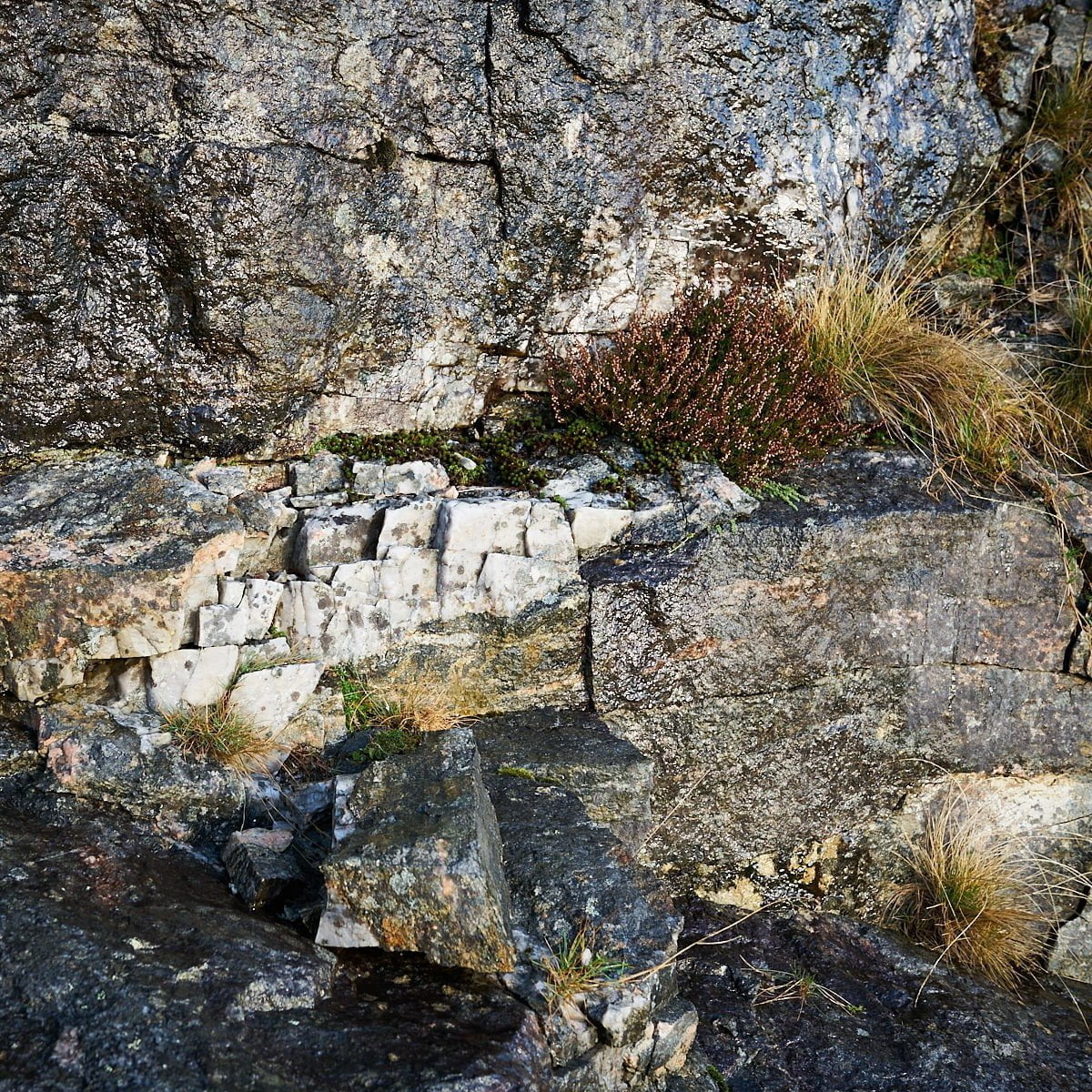 Lewisian Gneiss Rock - Photography...mostly.